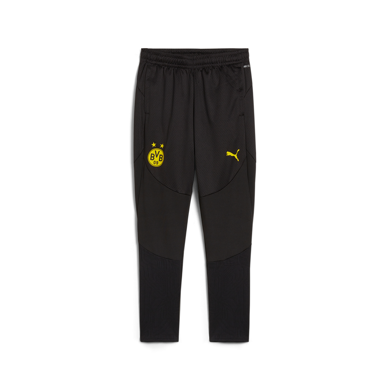 Offizielle BVB Trainingskleidung - Offizieller BVB Online Fanshop