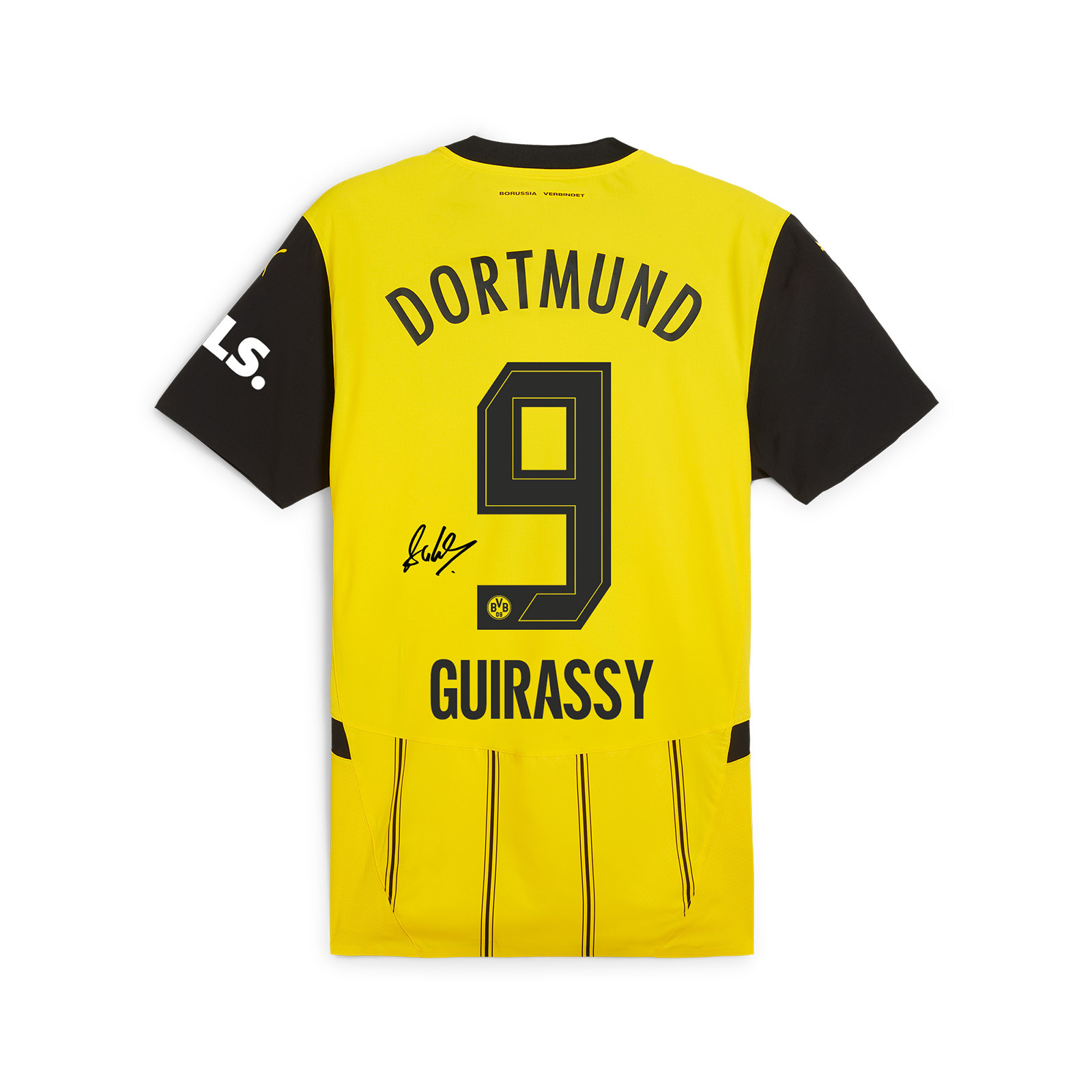 Offizielle BVB Trikots - Offizieller BVB Online Fanshop